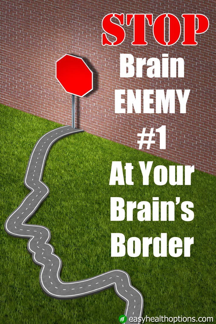Stop brain enemy #1 at your brain border - Easy Health Options®