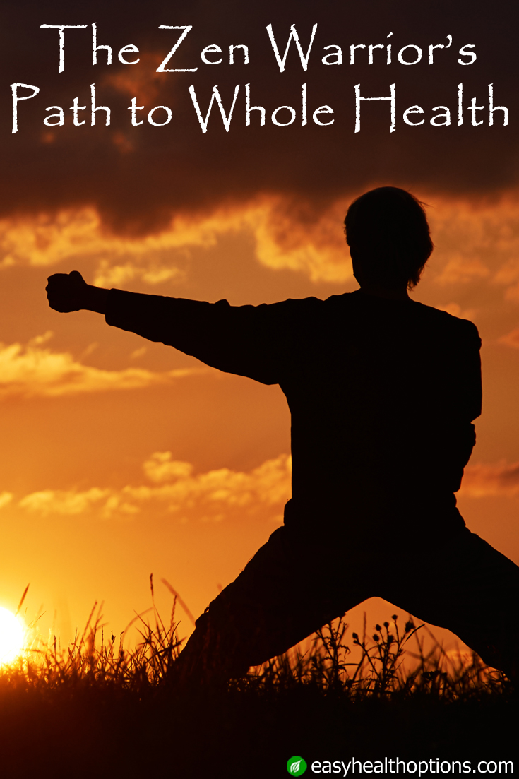 What Is A Zen Warrior at Cindy Basil blog