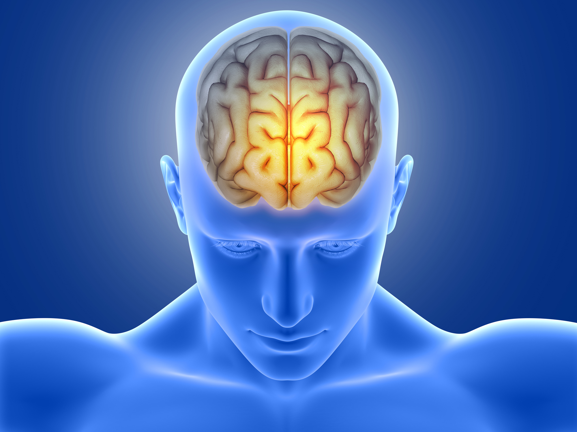 Cholesterol Is The Best Brain Food To Fight Parkinson s Easy Health Cholesterol Is The Best Brain Food To Fight Parkinson s Easy Health