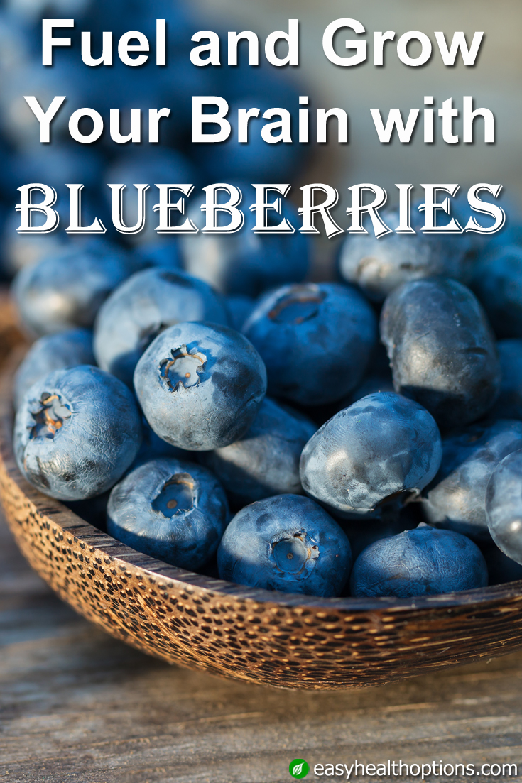 Fuel and grow your brain with blueberries - Easy Health Options® Fuel and grow your brain with blueberries - Easy Health Options®