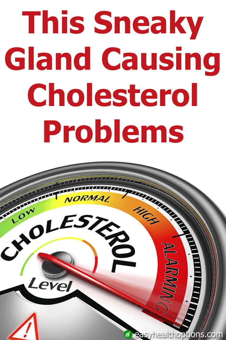 This sneaky gland causing high cholesterol problems - Easy Health Options®