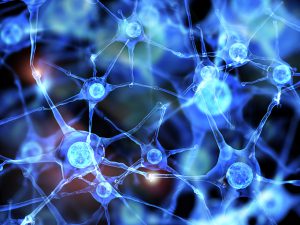 How to boost production of new brain cells - Easy Health Options®