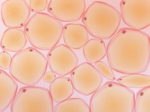 The right light that ‘melts’ fat cells in your body - Easy Health Options®