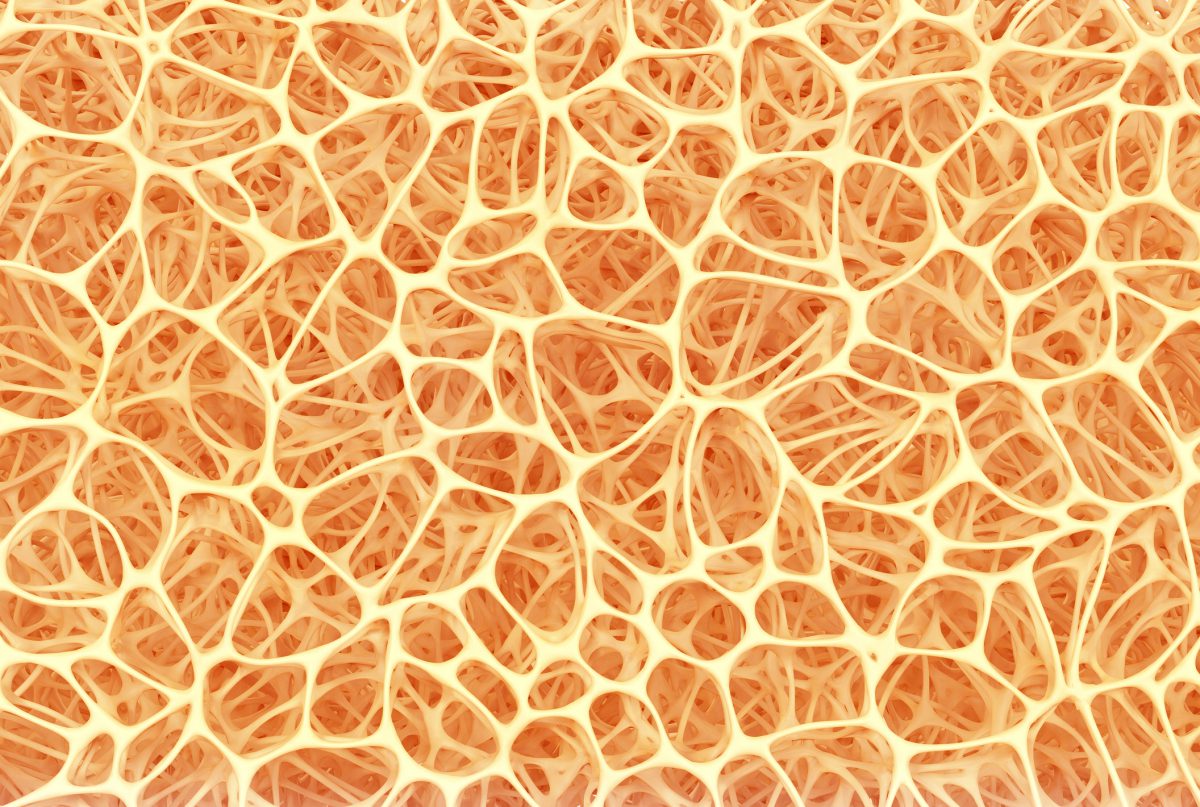 Poor liver health could be destroying your bones - Easy Health Options®