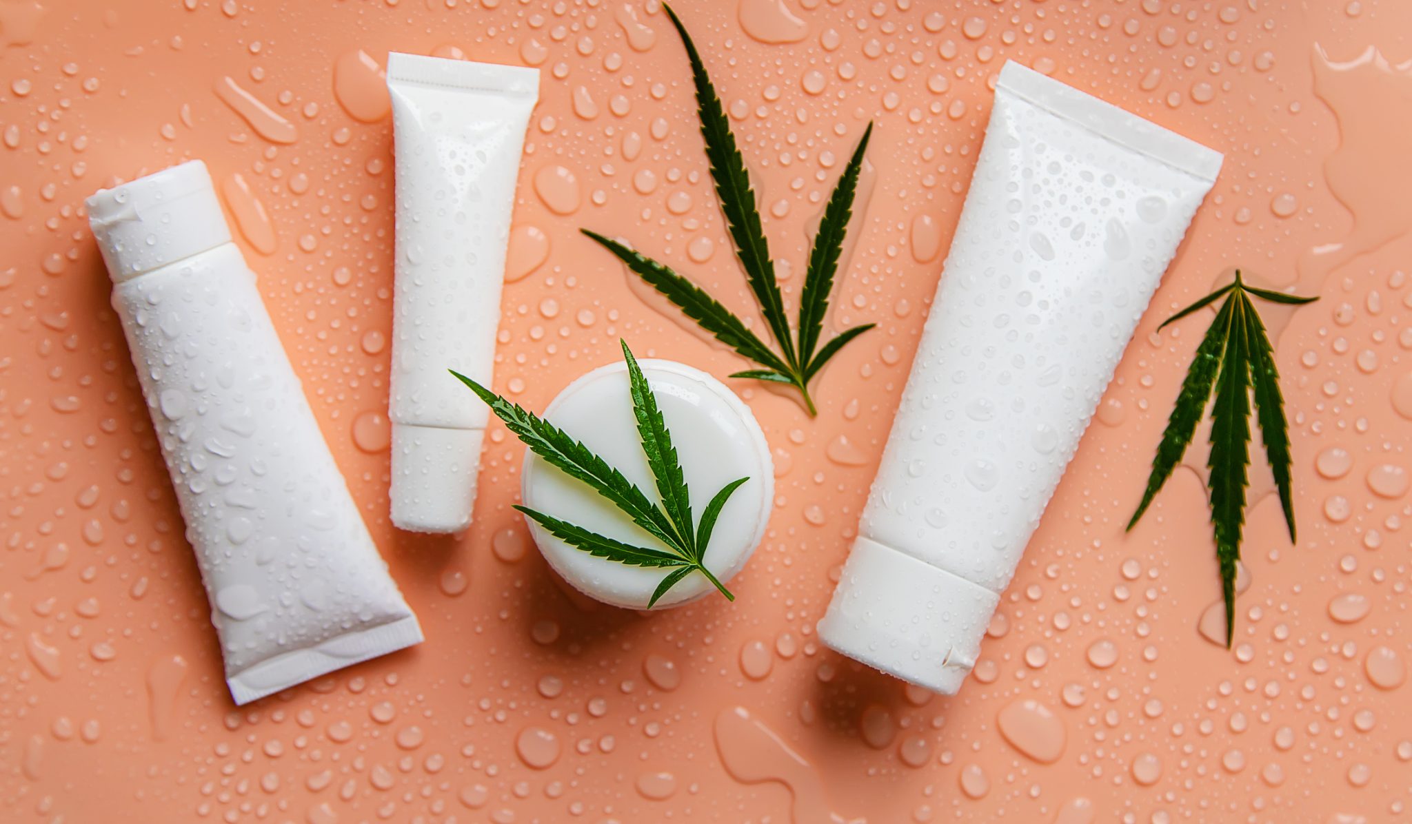 Cannabis: A new breakthrough in anti-aging skincare - Easy Health Options®