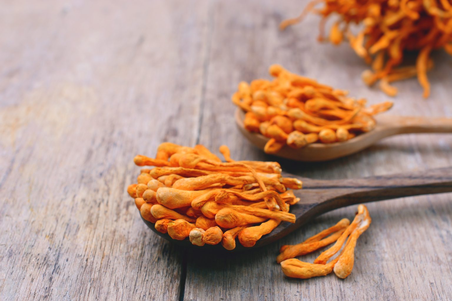 Cordyceps: Superfood or Brain-hijacking 'zombie' fungus - Easy Health ...