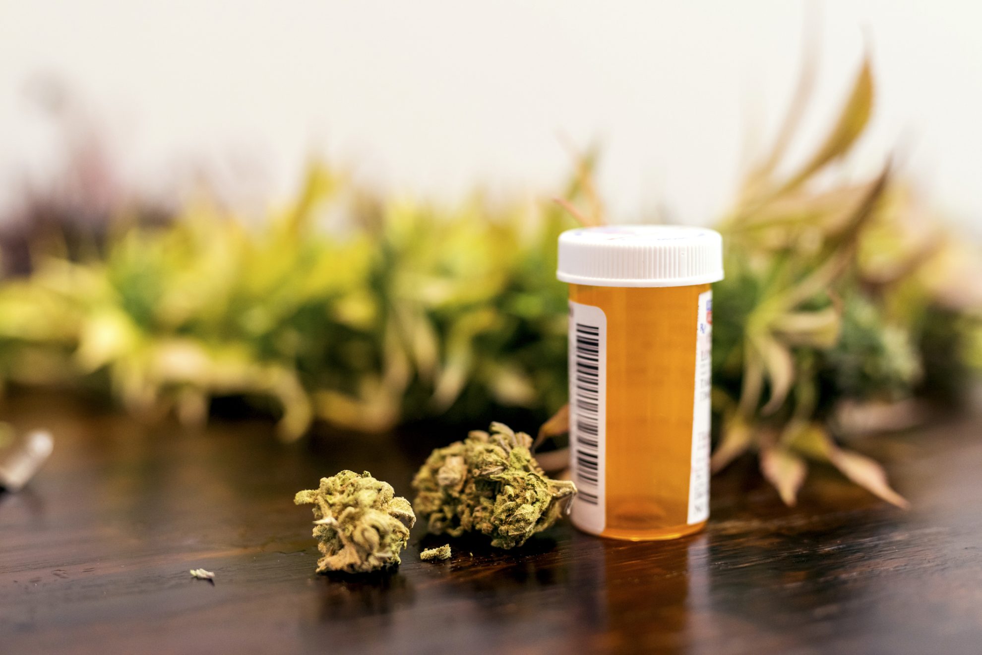 Marijuana: Is it herbal medicine? - Easy Health Options®