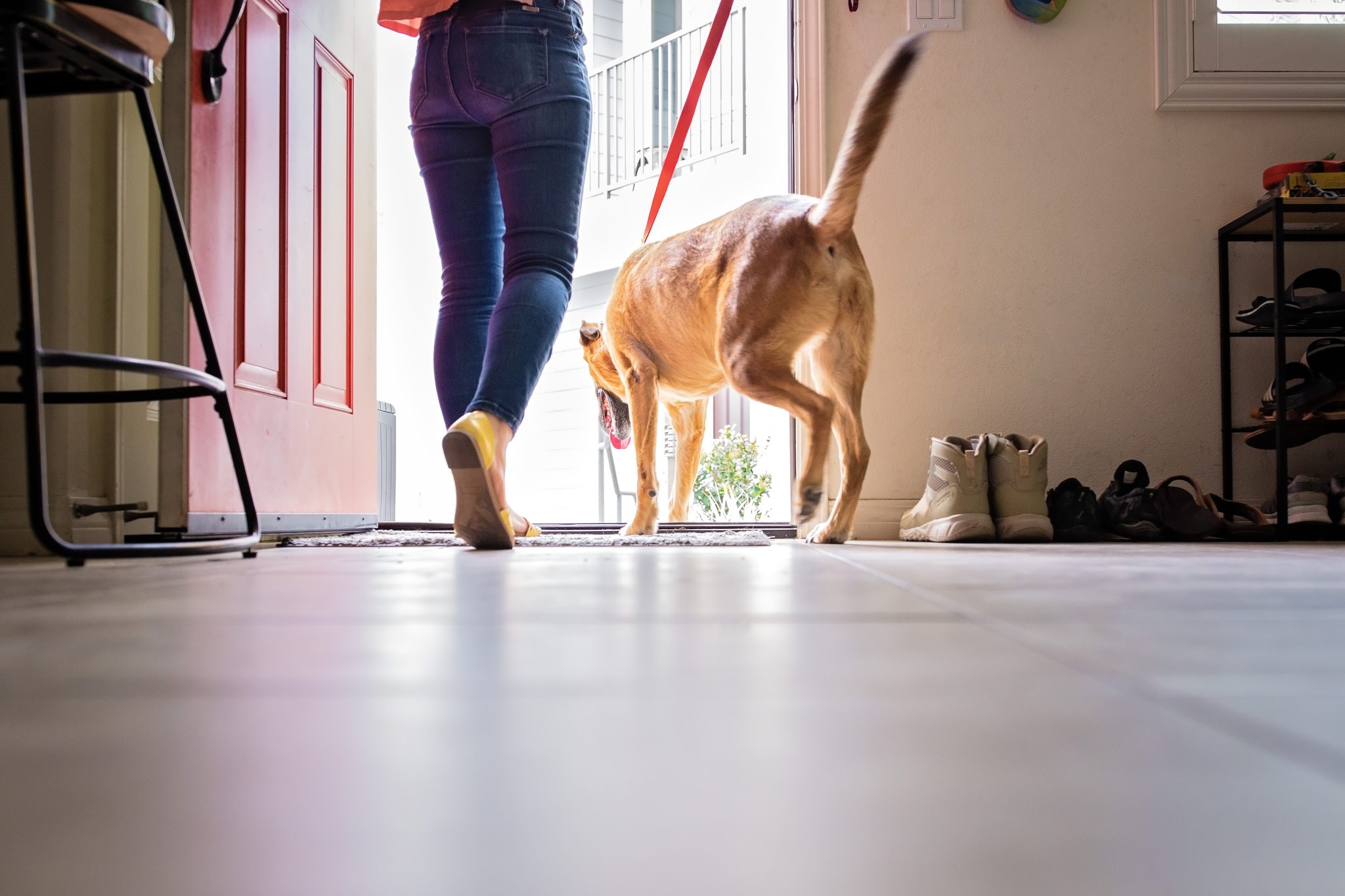 Got 4 minutes? Cut heart disease risk in half - Easy Health Options®